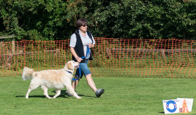 FAQ – www.talkingdogsrally.co.uk